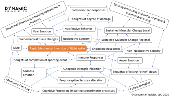 Relational Frame Theory and the Movement & Rehabilitation Professional – Dynamic Principles